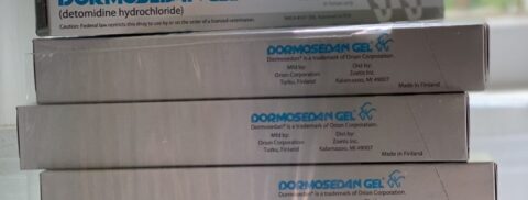 What Should You Know About Dormosedan Gel? | Blue Ridge Equine Clinic