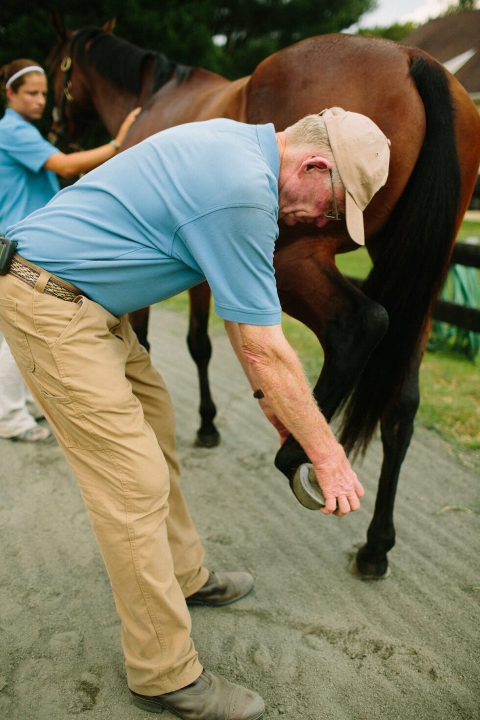 How Much Do Hock Injections Cost For A Horse? | Blue Ridge Equine Clinic