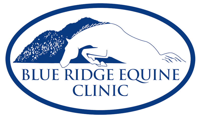 What Is Grain Overload? | Blue Ridge Equine Clinic
